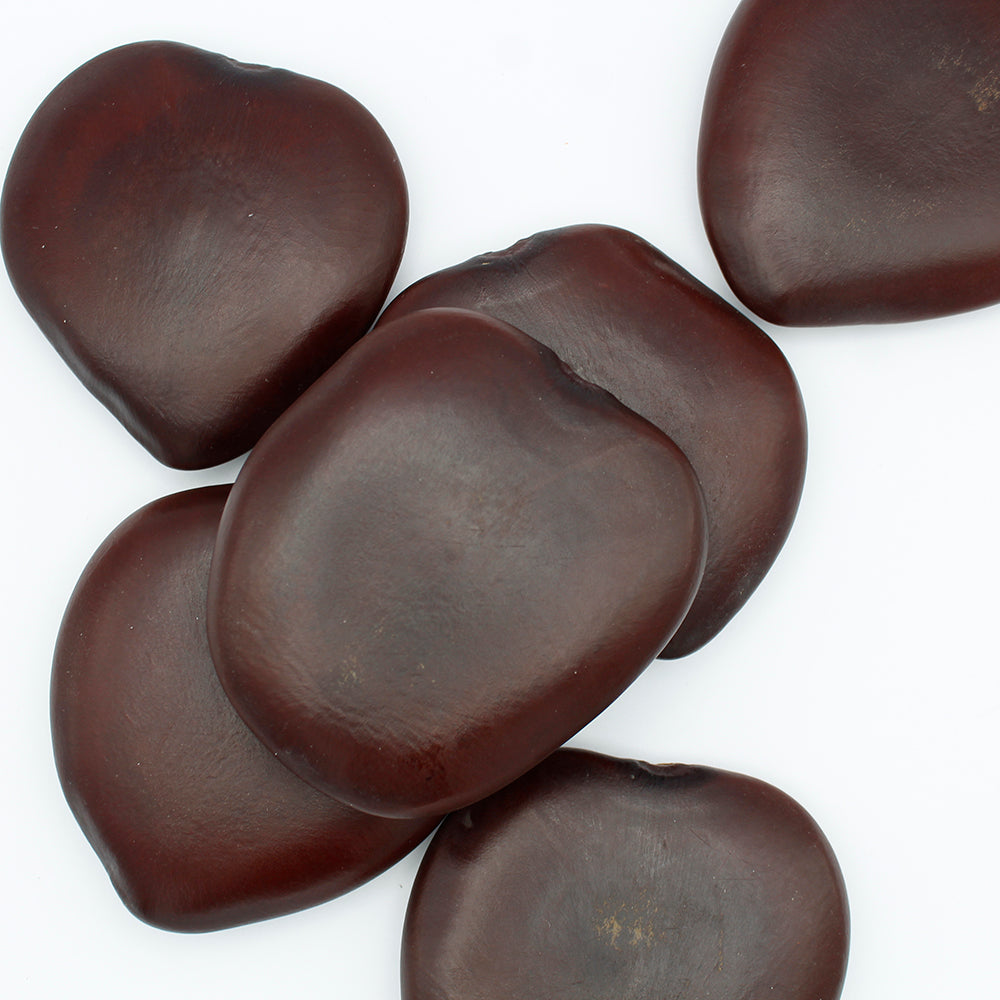 Semilla o corazón de Chango – Palacio de incienso